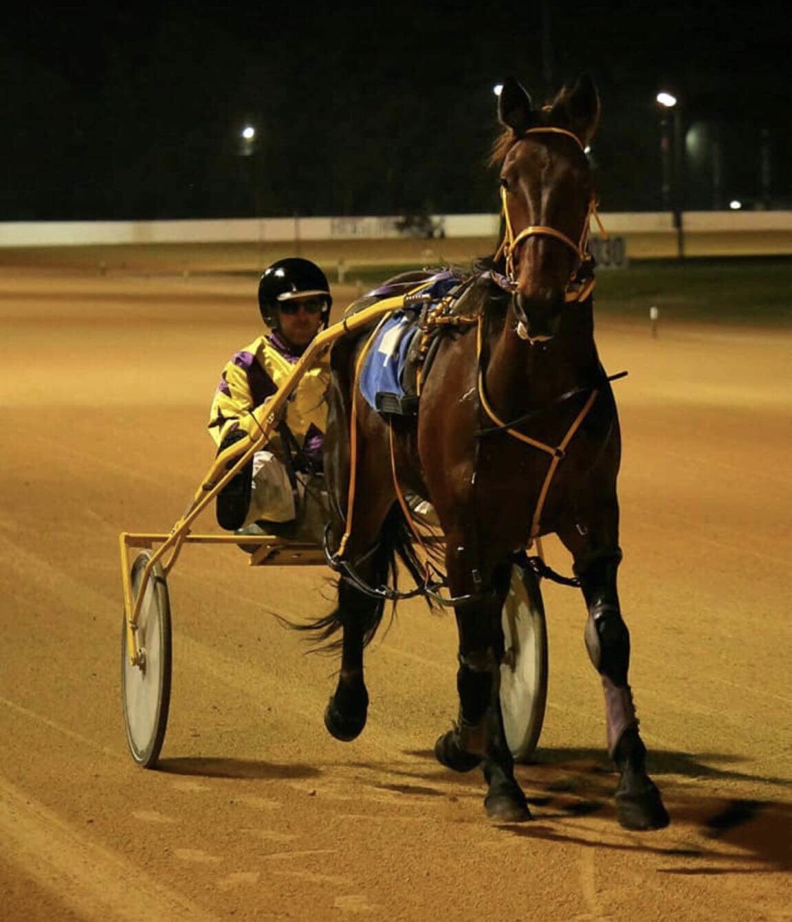 NOVEMBER Saturday 10th - NSW Harness Racing Club Menangle Park ...